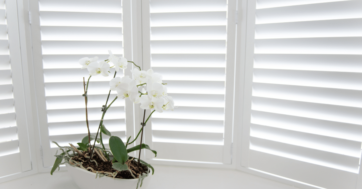 How to Clean Window Shutters: A Complete Guide